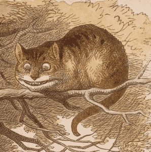 Chi è lo Stregatto, un gatto speciale dalle origini antiche - G come Gatto