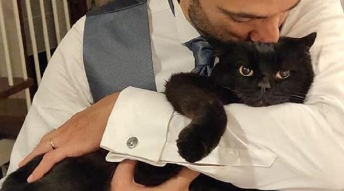 Intervista a Andrew Faber, poeta dall'animo e cuore felini